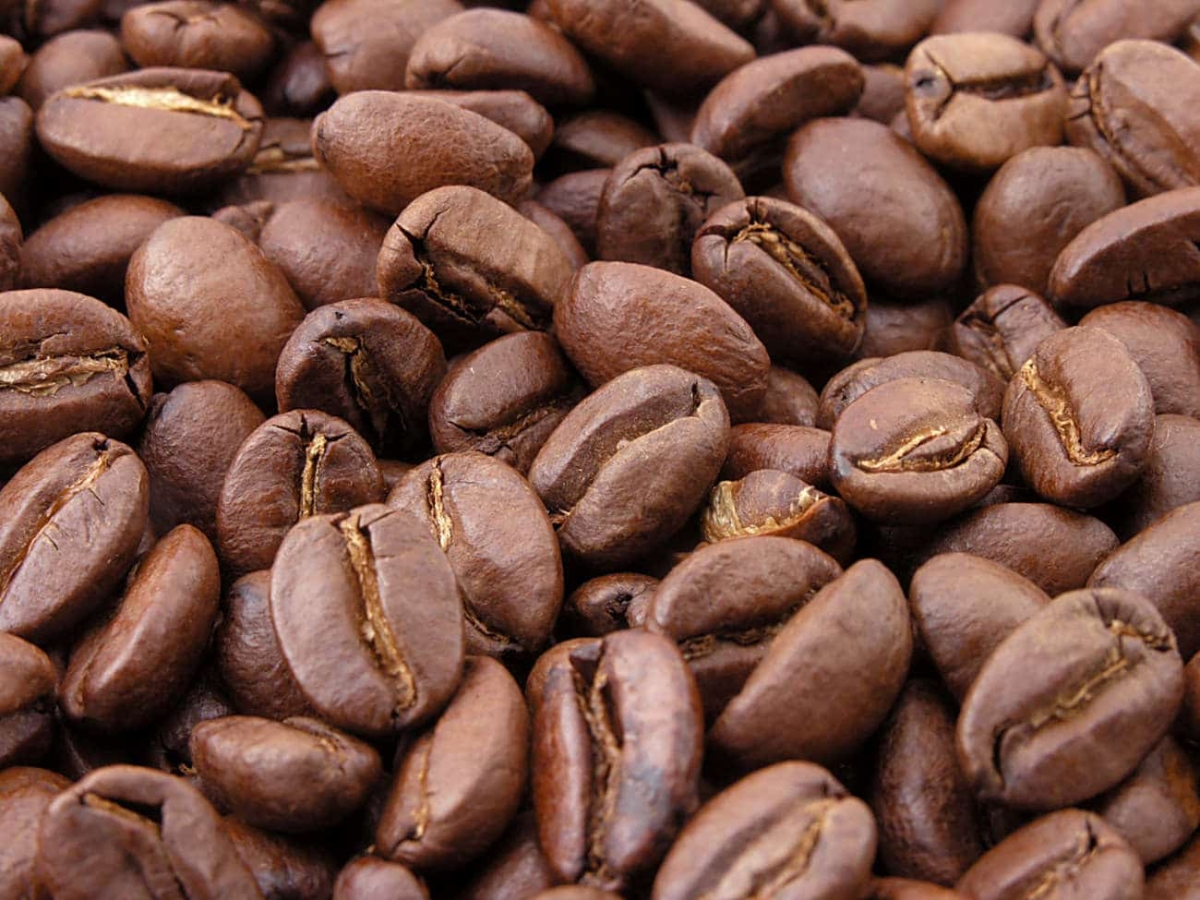 Arabica vs. Robusta Kaffee: Was sind die Unterschiede? | RAUWOLF