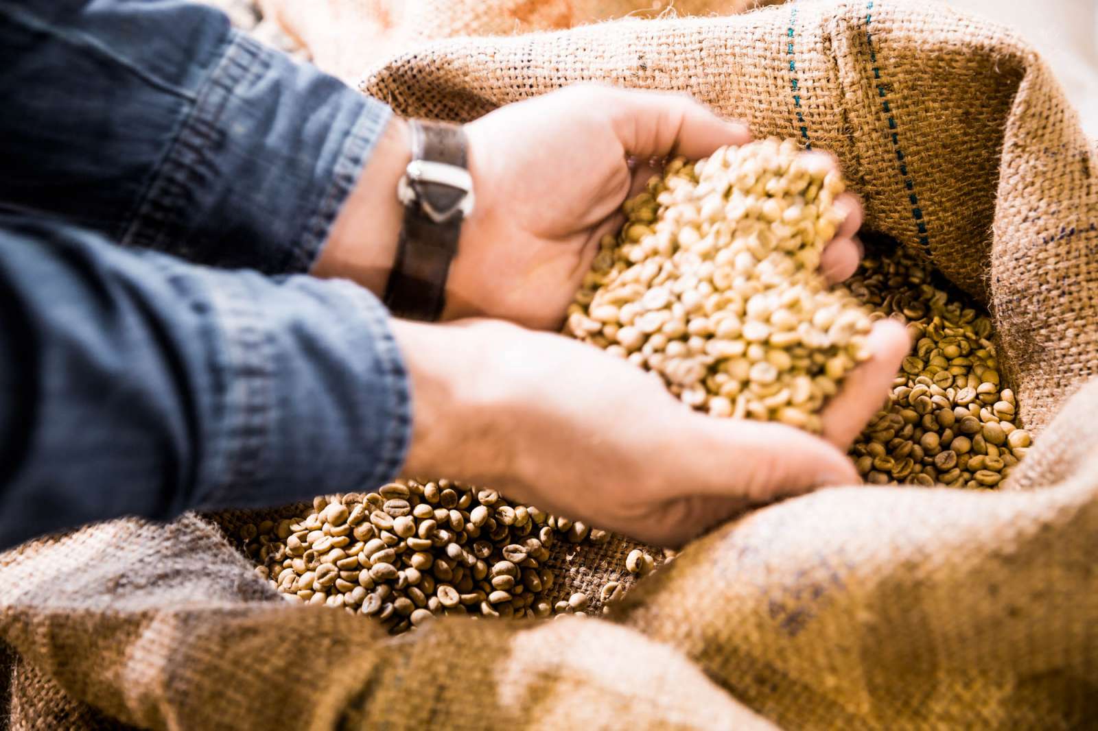 Über Uns | RAUWOLF Rösthaus + Brewbar