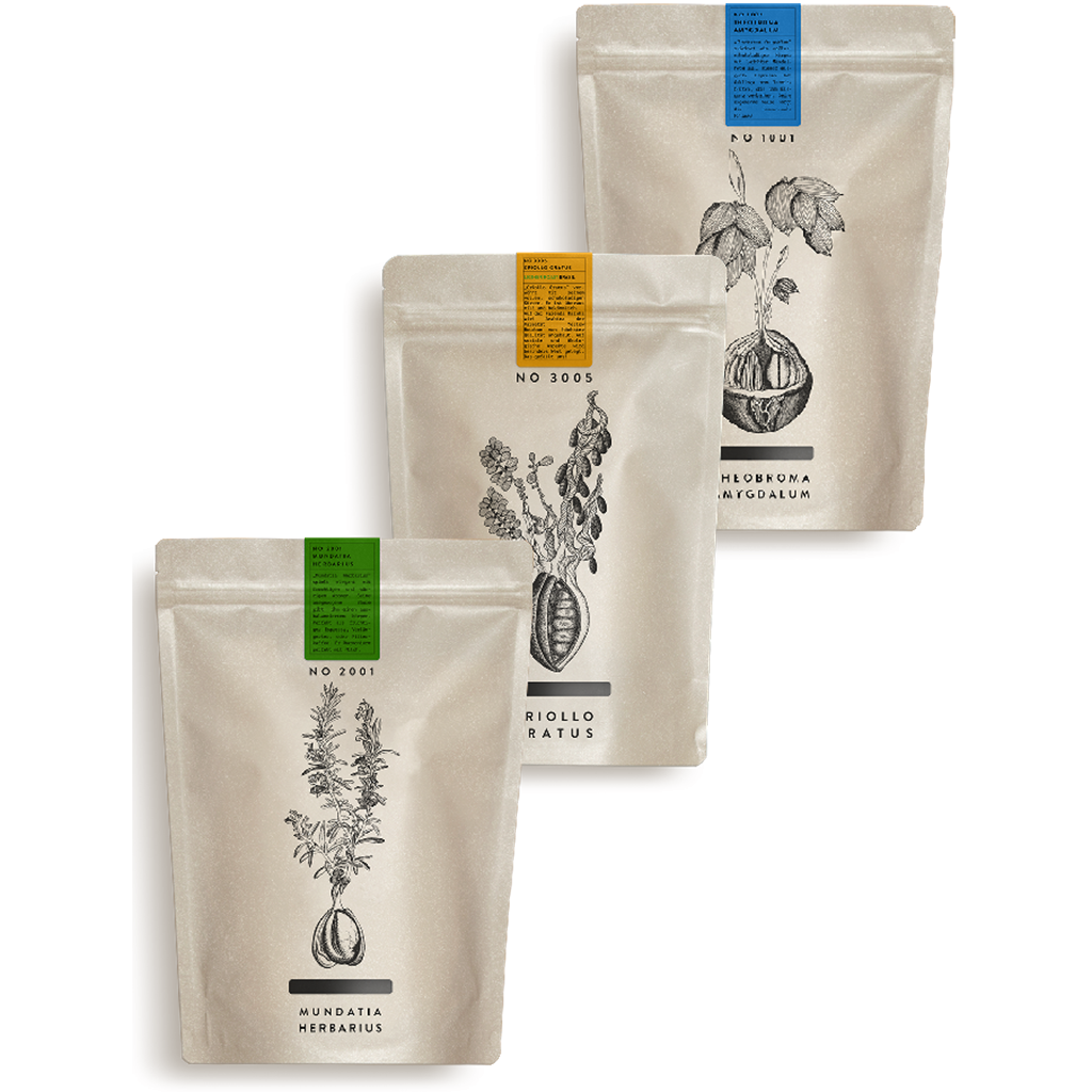 French Press Kaffee: Anleitung in 6 Schritten | RAUWOLF