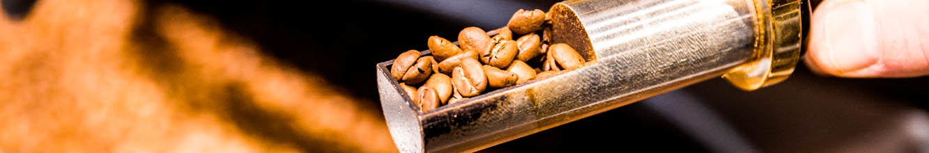 Kaffee Probierpaket online kaufen | Röstfrisch von RAUWOLF